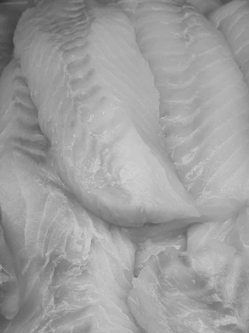 Fresh Cod Fillets (per pound) – The Fresh Lobster Company, LLC
