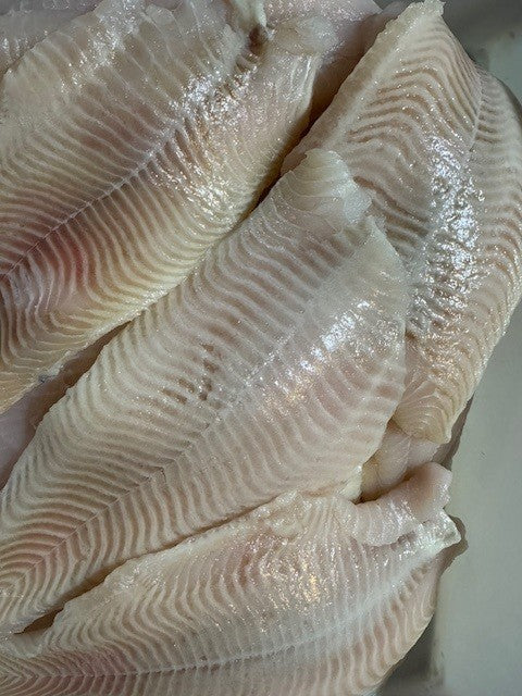 Freshwater Catfish Fillets ( per pound ) – The Fresh Lobster Company, LLC