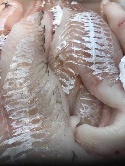Fresh Haddock Fillets (per pound) – The Fresh Lobster Company, LLC