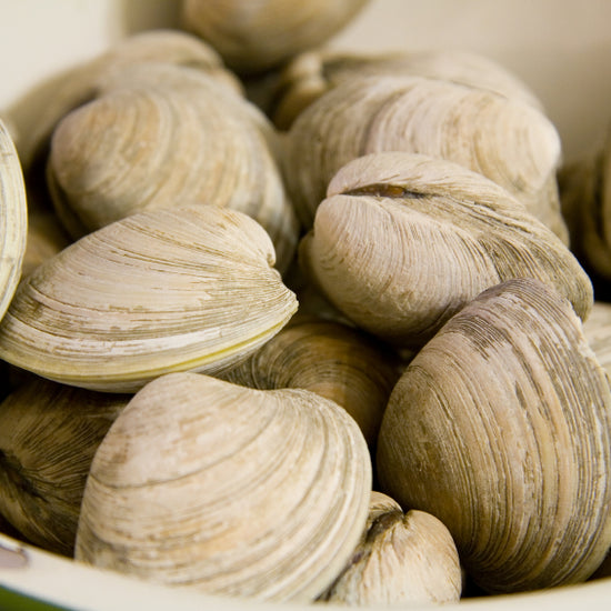 Fresh Crab Meat | Frying Clams Shipped - The Fresh Lobster Company ...